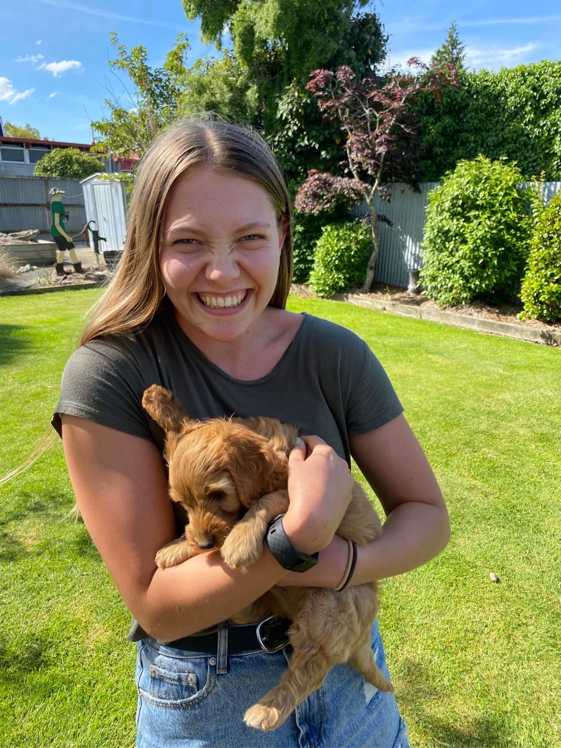 Hannah | Pet sitter in Auckland | Pawshake.co.nz