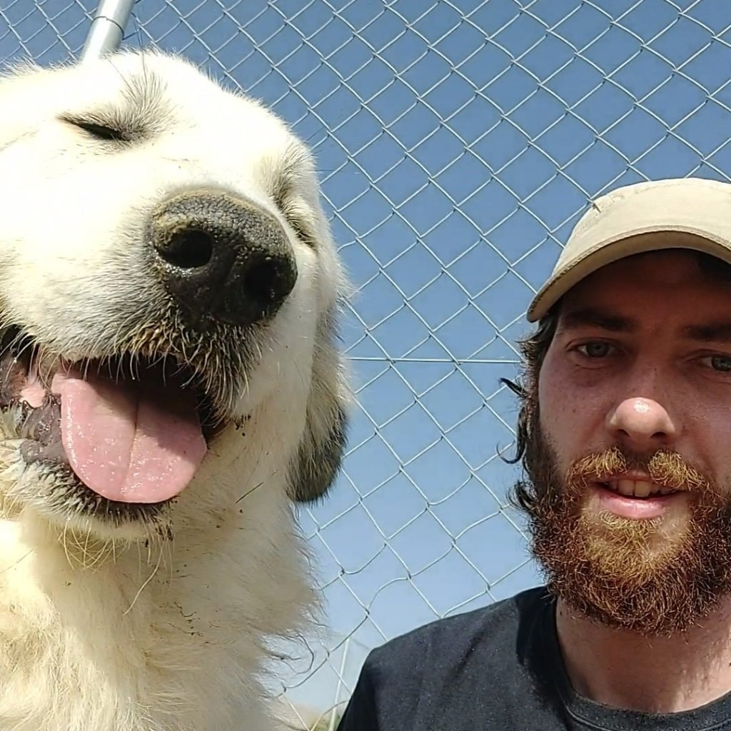 Dog Walking Melbourne VIC | Local dog walkers | Pawshake.com.au