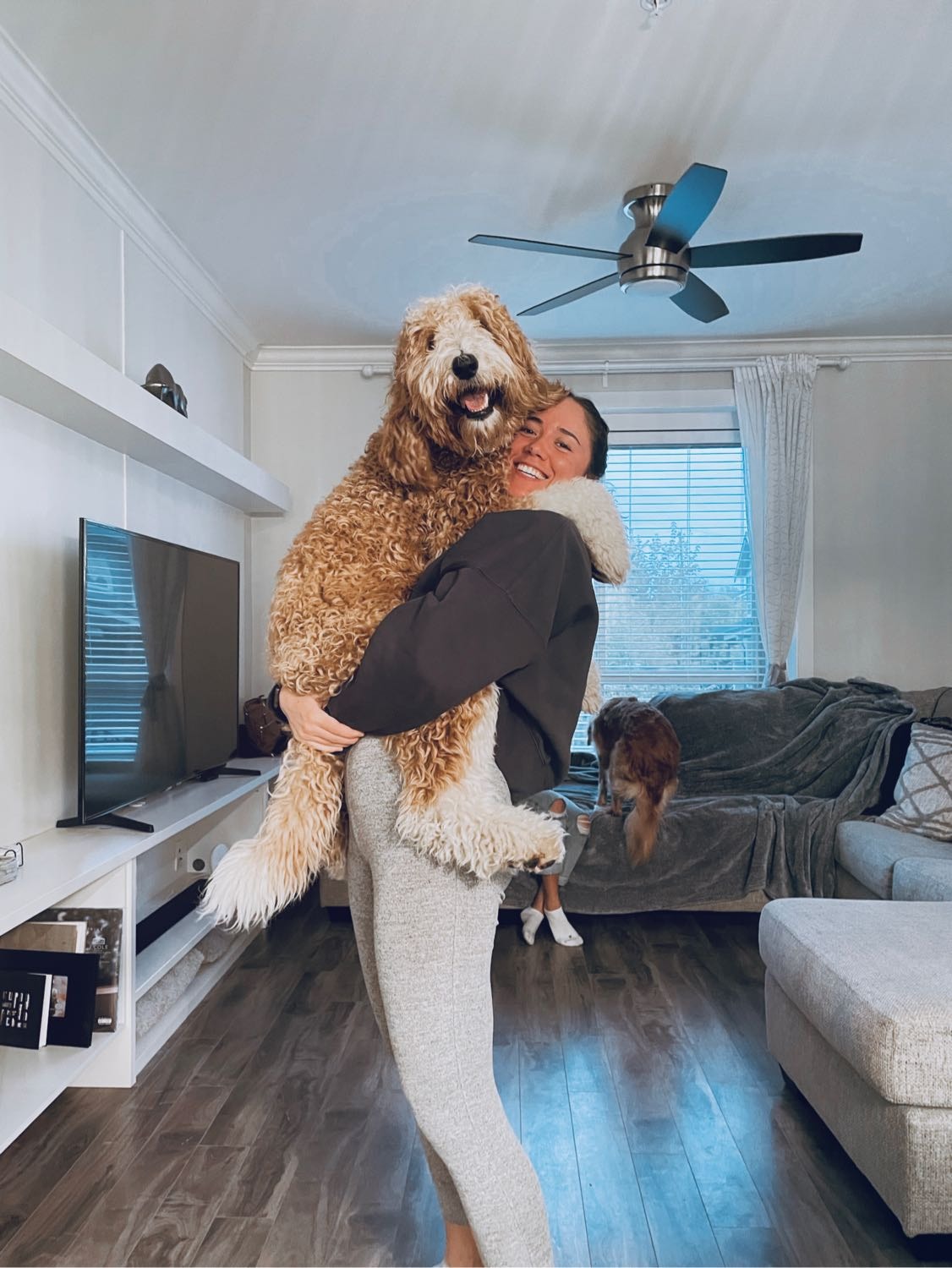 oshyn-pet-sitter-in-edgecliff-pawshake-au