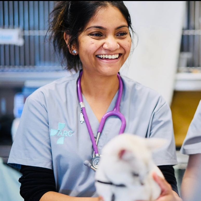 Sadhvee | Pet sitter in Auckland | Pawshake.co.nz