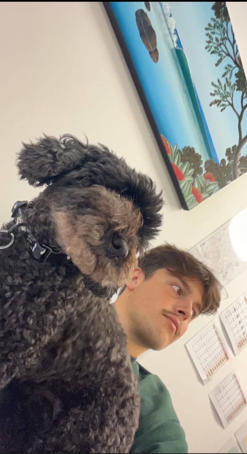 Troy | Pet sitter in Lower Hutt | Pawshake.co.nz