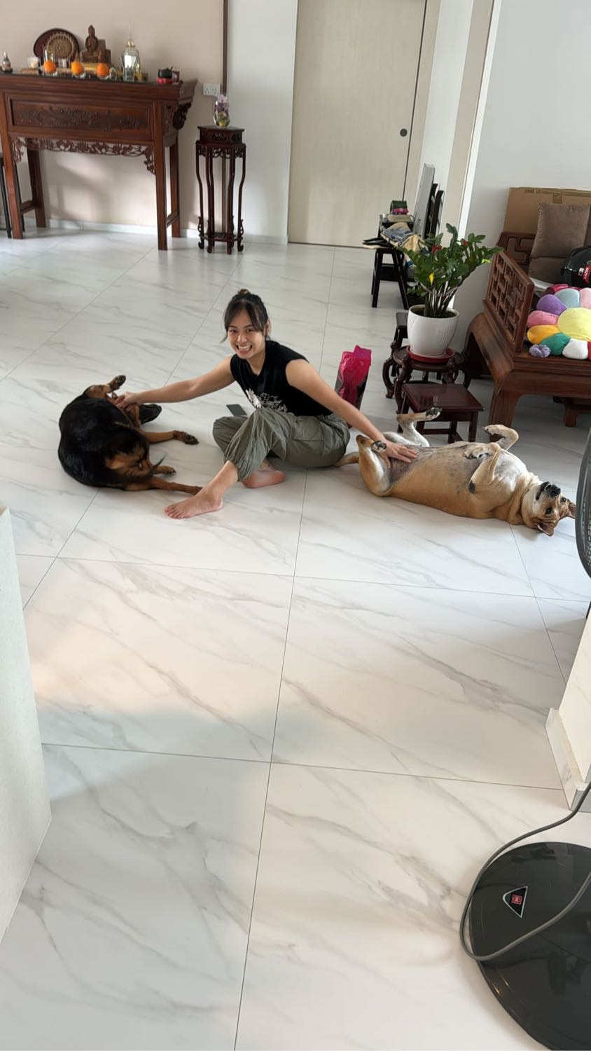 Felicia | Pet sitter in Geylang | Pawshake.com.sg